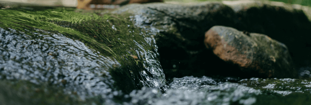 Biodegradable – Grangers